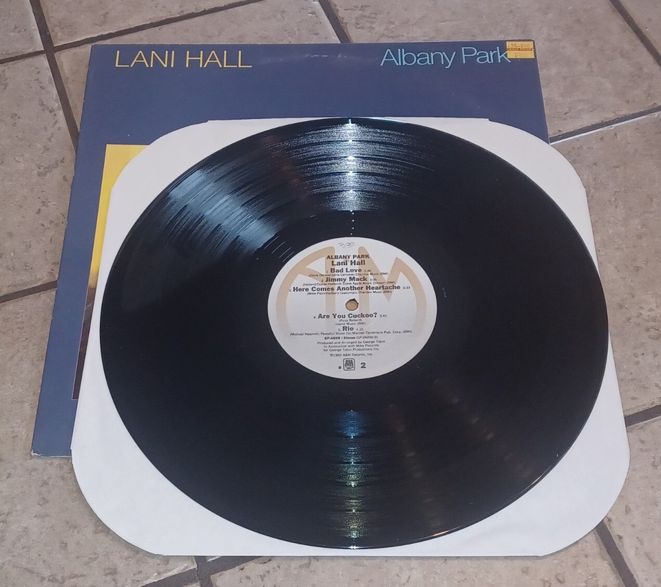 Lani Hall Albany Hall 1982 SP4898 LP Record AM Records GOLD STAMP RADIO PROMO | eBay