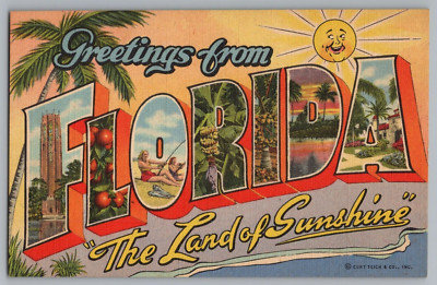 Postcard Greetings From Florida, Large Letter | eBay