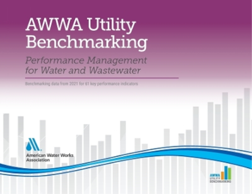Awwa 2022 AWWA Utility Benchmarking (Paperback) (UK IMPORT ...