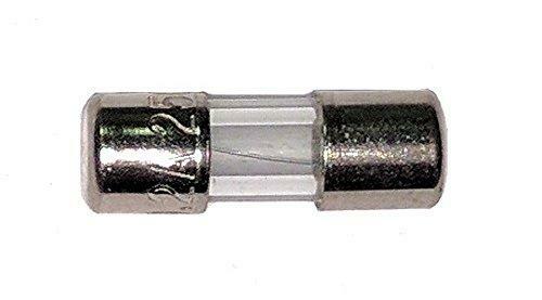 Divine Lighting 3.6x10mm 2A Fast Blow Fuse FA 2 Amp 250v Mini Micro 3 ...