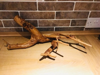 Decorative Handmade Tree Root Decoration Sculpture | eBay