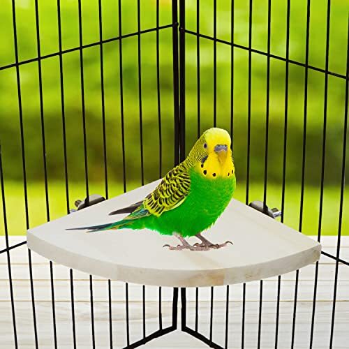Bird Perch Stand 2 Pack Wooden Platform Corner Ledge for Budgies S (5.1 ...