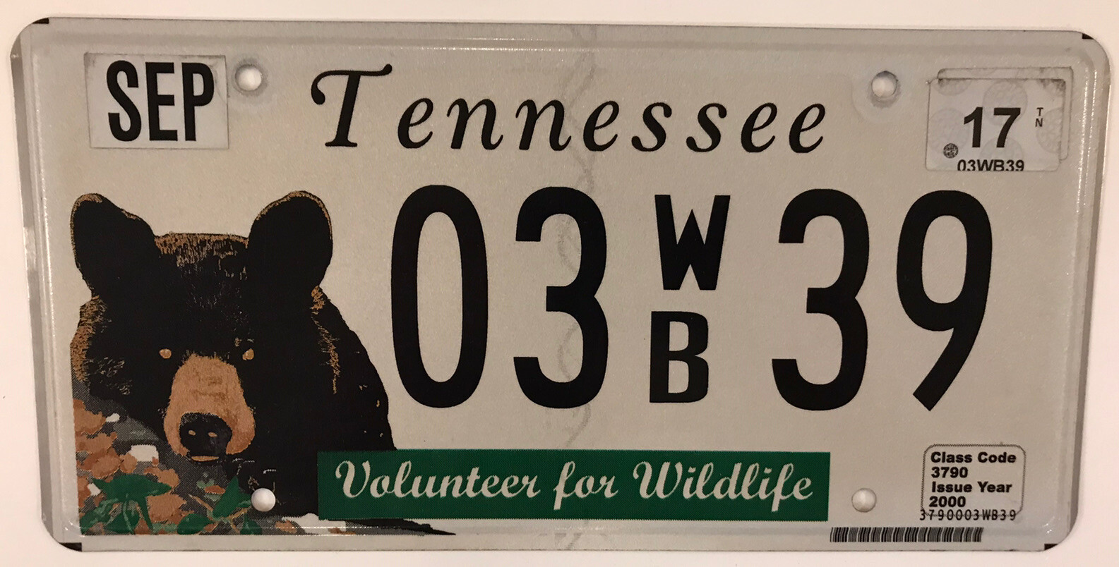 WILDLIFE GRIZZLY BEAR license plate National Park Wild Ours Bär Oso | eBay