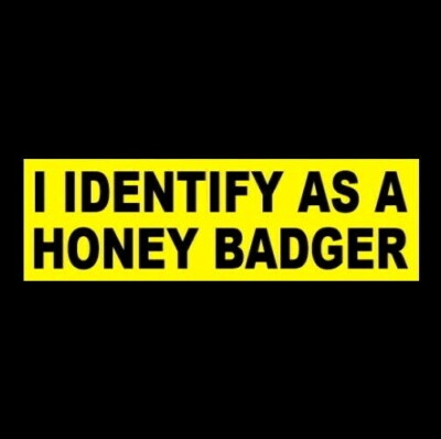 Funny "I IDENTIFY AS A HONEY BADGER" window decal BUMPER STICKER don't ...