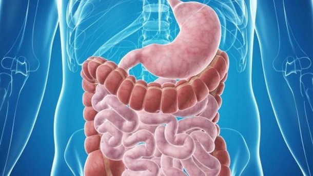 Helps Expel Intestinal Worms - Anti Parasite Solution 1475mg - Kill ...