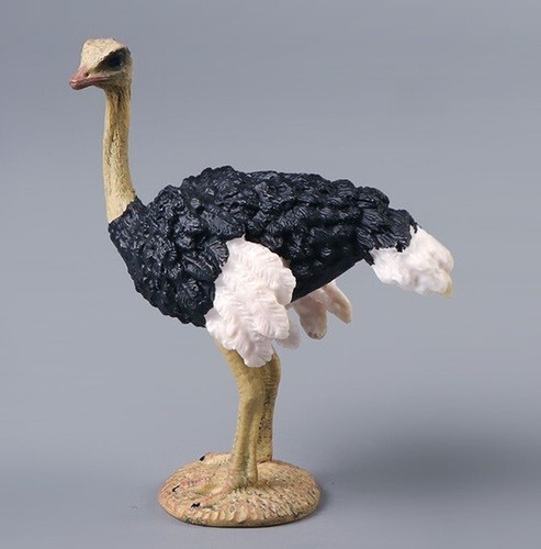 Ostrich Bird Animal Toy PVC Action Figure Doll Kids Toys Party Gifts | eBay