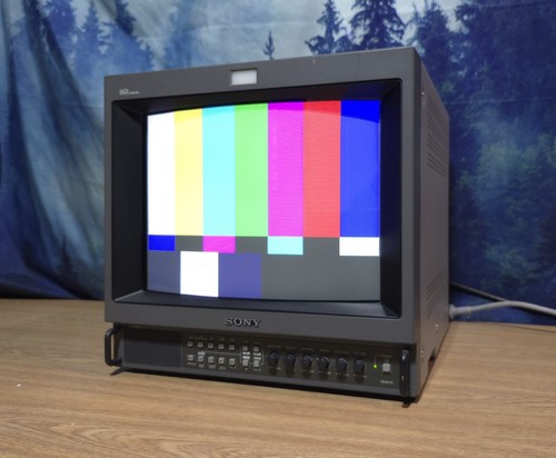 Sony 14" PVM-14M4J RGB S-Video 800TVL HR Trinitron CRT | eBay