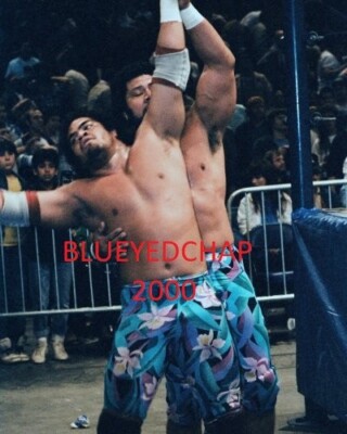 ISLANDERS WRESTLER 8 X 10 WRESTLING PHOTO WWF | eBay
