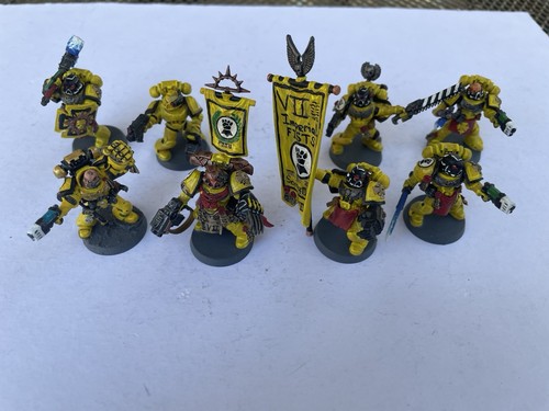 Warhammer 40k Space Marine Heroes & Sergeants First Born Imperial Fists ...