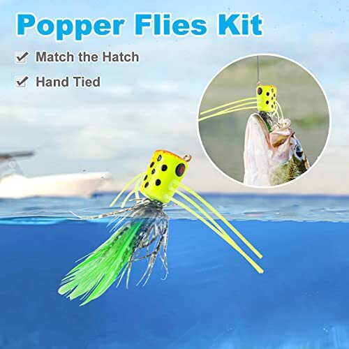 12PCS Fly Fishing Popper Flies Bass Panfish Bluegill Popping Bug | eBay
