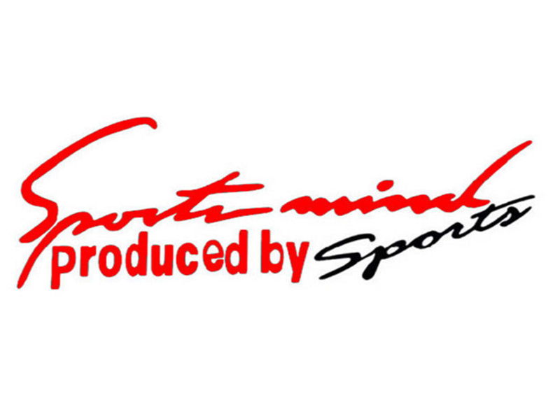 1Pcs New Black Red Sports Mind Produced By Sports Car Front Hood Decals ...
