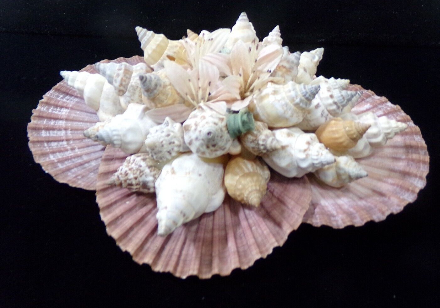 RARE! HANDMADE ARTISAN SHELL CENTERPIECE 5 X 7" … - Gem