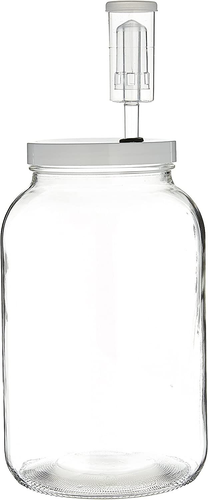 FastRack - One Gal Wide Mouth Jar with Lid and Airlock, Large Glass ...