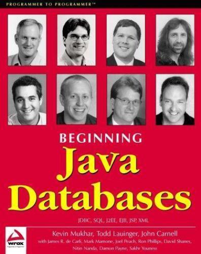 Beginning Ser.: Java Databases by Todd Lauinger, David Shanes, Kevin ...