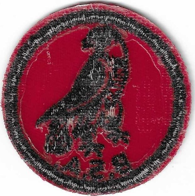 BSA MINT TWILL RED-BLACK PATROL MEDALLION PATCH CLEAR PLASTIC BACK HAWK ...