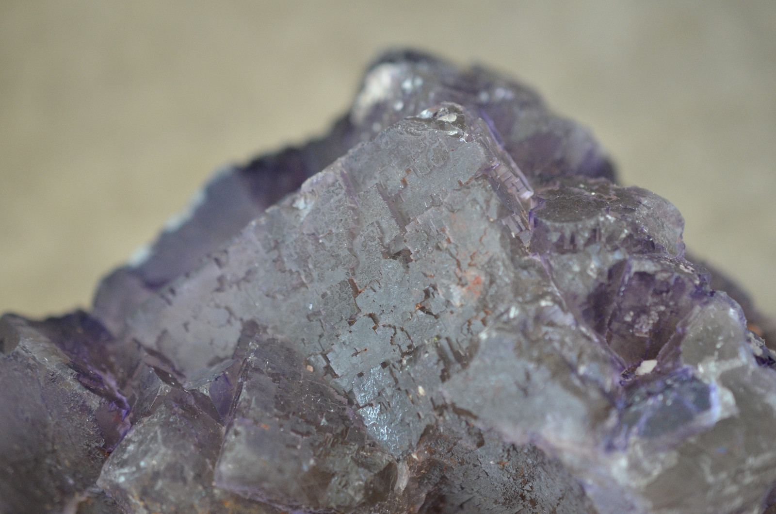 Large Muzquiz Purple Fluorite Crystal Cabinet Specimen Musquiz Coahuila ...