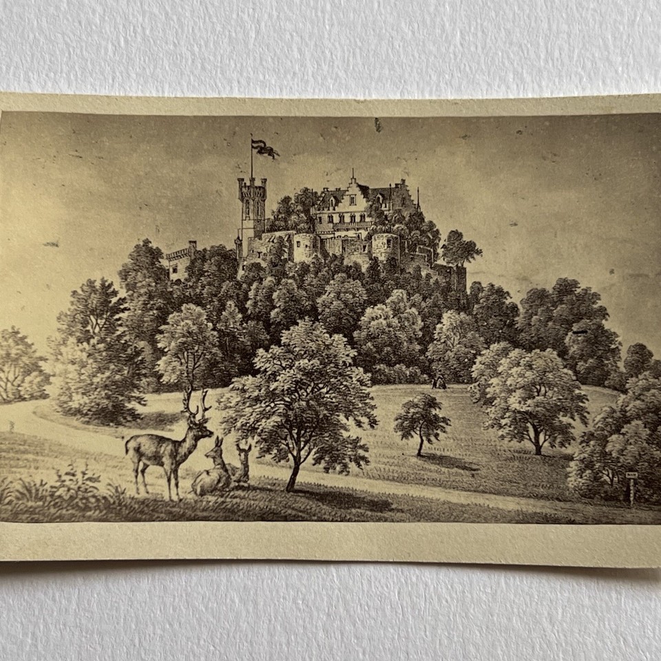 Antique CDV Filler Photograph Beautiful Medieval Castle Lovely Scene ...