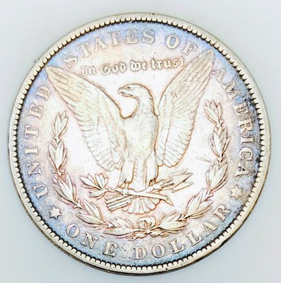 1901 P MORGAN DOLLAR! ULTRA RARE DATE!$ RAINBOW TONED RIMS!$ FABULOUS ...