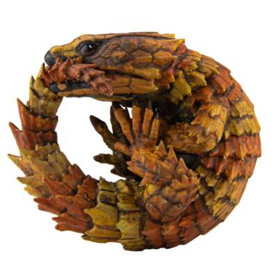 1/1 Size Armadillo Girdled Lizard Figure defensive posture Yellow So-Ta ...