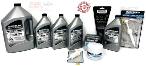 MERCURY Quicksilver 150 EFI 4-Stroke SYNTHETIC Oil Change Maintenance ...