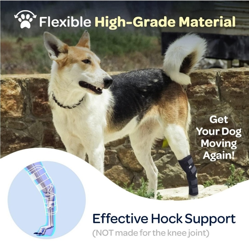 Dog Extra Supportive Canine Rear (Hind) Leg Hock Joint Compression Wrap ...