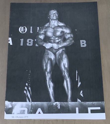 Arnold Schwarzenegger Most Muscular Posing Professional Bodybuilding ...