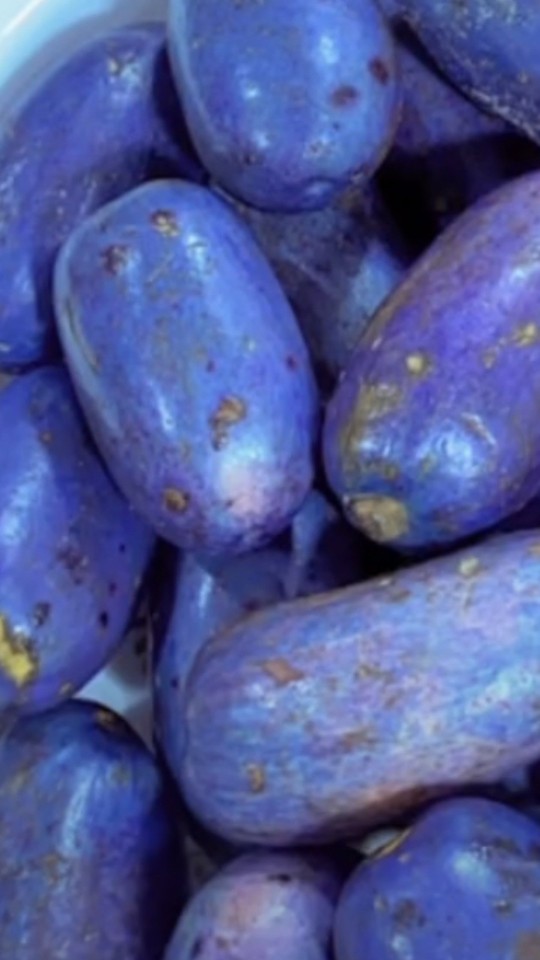 Fresh Frozen Ube/African Pear/Ube/Ube Fruit/Ube Buttery 10pcs. | eBay