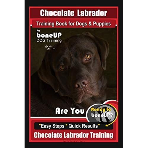 Chocolate Labrador Training Book for Dogs and Puppies b - Paperback NEW ...