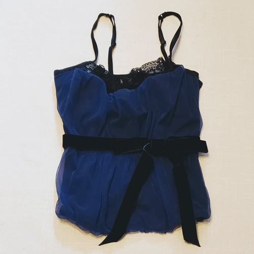 Victoria's Secret Pretty Little Things Blue Bustier sz. 34C | eBay