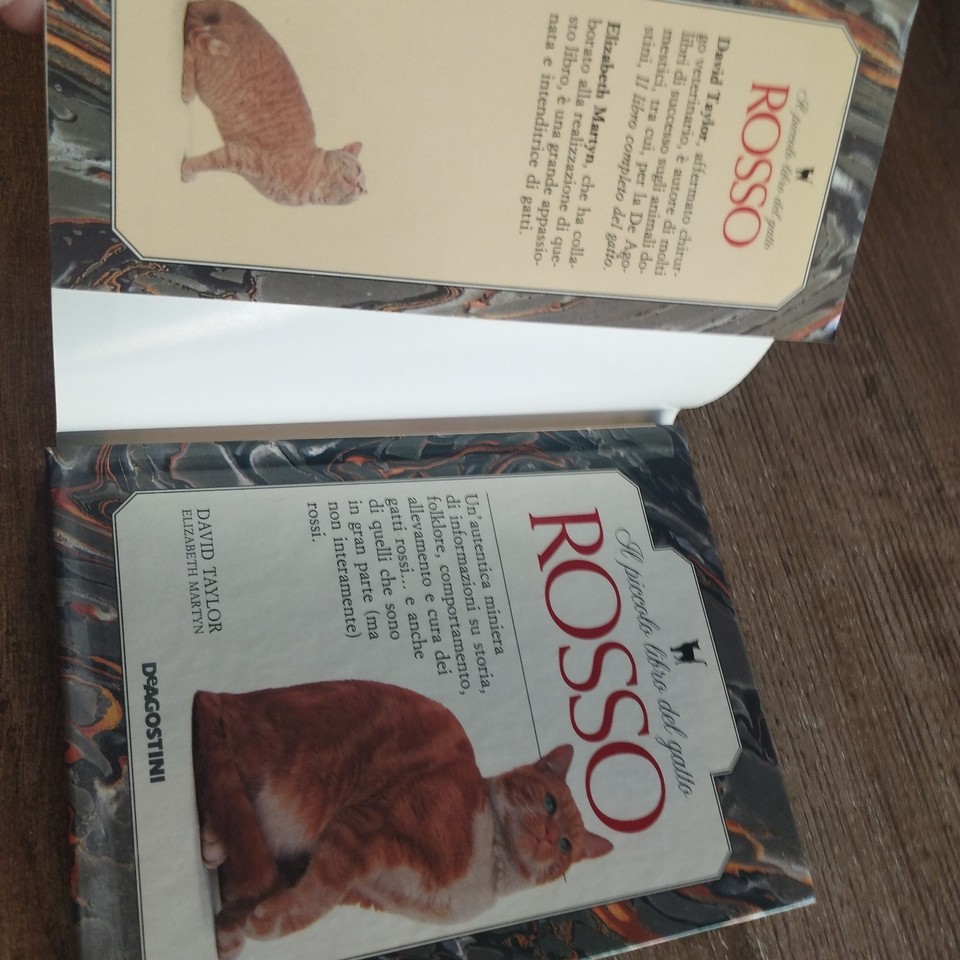 IL PICCOLO LIBRO DEL GATTO ROSSO DAVID TAYLOR ELIZABETH MARTYN ...