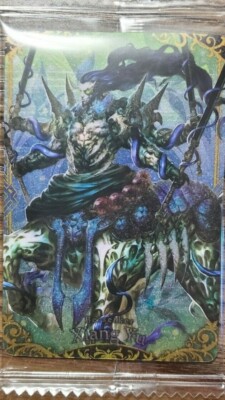 Berserker Xiang Yu Fate Grand Order FGO Wafer Card Vol 8 R 19 Bandai ...