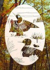 LOON STATIC CLING WINDOW DECAL New Oval 8x12 Vinyl Wild Ducks Glass ...