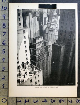 1929 ROOFTOP GARDEN NEW YORK CITY CARTOON R. B. FULLER ARTIST COMIC ...
