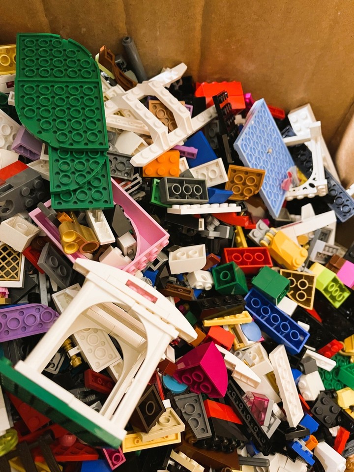 LEGO 20 lbs Pounds Random Parts Pieces Building Plates Blocks Bulk Lot ...