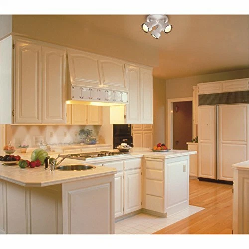 Westinghouse 66326 Three Light Multi Directional Ceiling Fixture ...