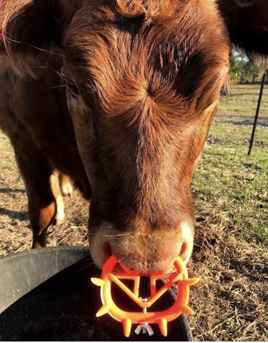 10 pack Calf Nose Ring Livestock Animal Weaning Cow Prevent Sucking ...