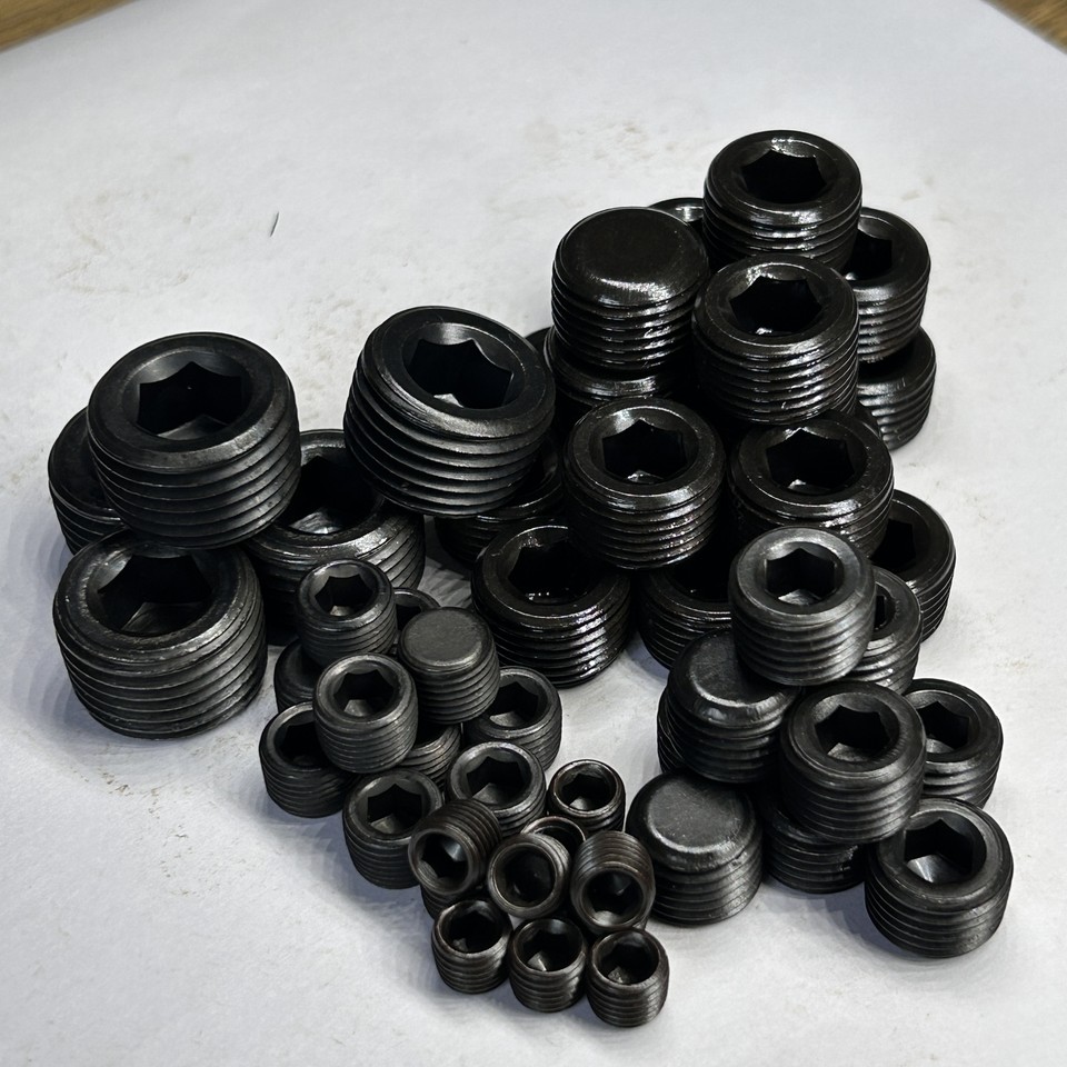 55* NPT PIPE PLUGS FITTING ASSORTMENT KIT 1/16" 1/8'' 1/4'' 3/8'' 1/2 ...