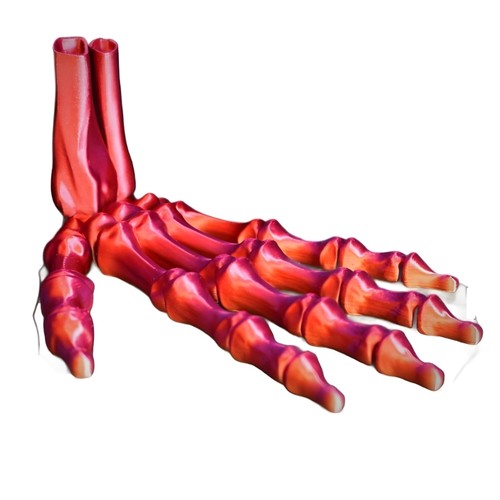 3D Printed Halloween Skeleton Hand With Movable Joints Posable ...