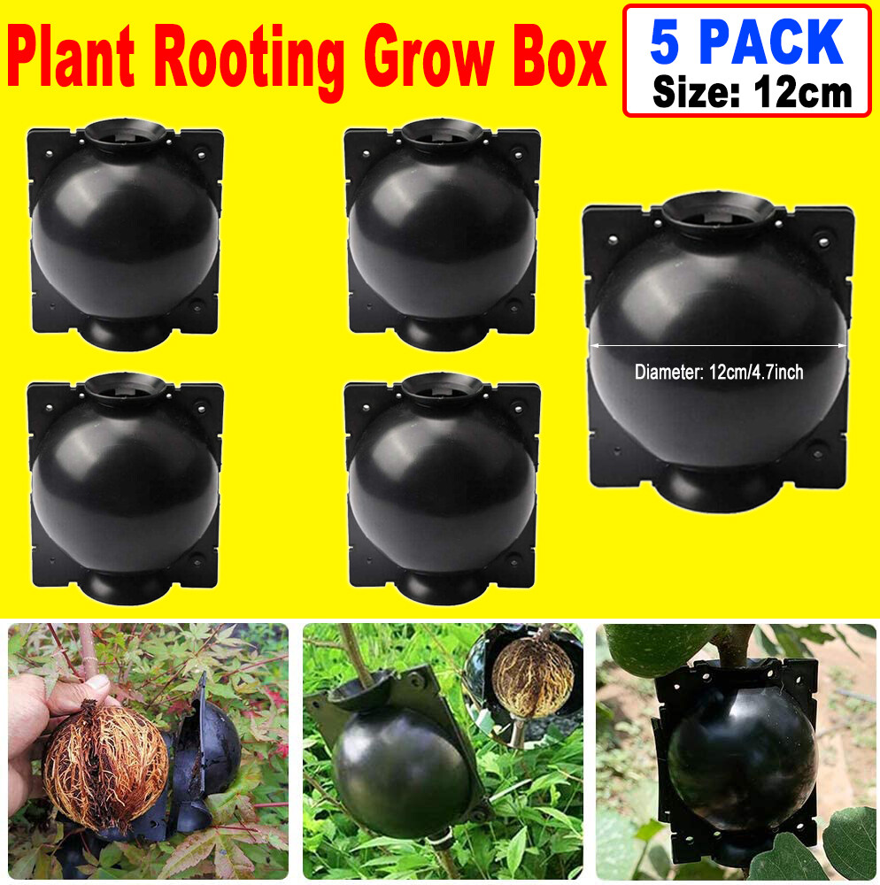 Reusable Large Plant Root Grow Boxes High Pressure Propagation Layer ...