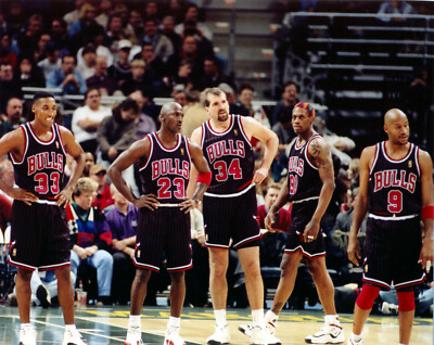 1998 Championship Bull - Starting Five, color photo | eBay