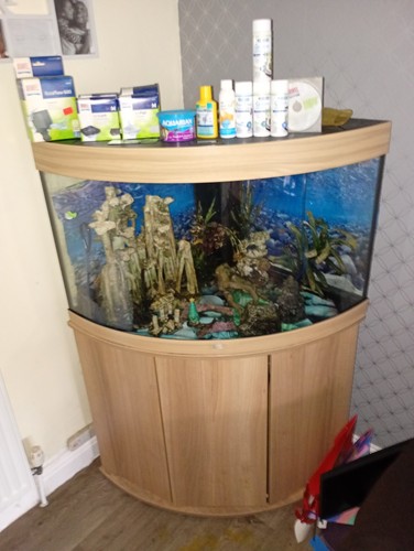 Juwel Trigon 190 Corner Fish Tank with Cabinet Stand and Accessories ...