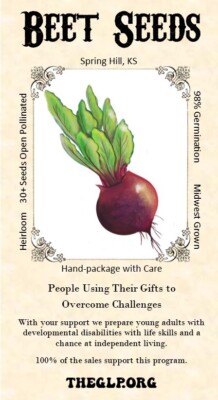 BEET Seeds *Big Large Heads 30+ SEEDS *FREE SHIPPING Help A Non-profit ...