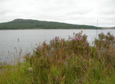 Photo 6x4 Loch Bradan Carrick Forest Looking towards Craig Dhu. The ...