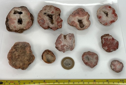 Dulcote Agate Geode Unpolished aka Mendip Potato Stone Slice England UK ...