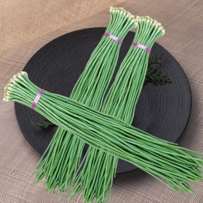 5g/30pcs+ Yardlong Bean Seeds, Asian Long Bean String Bean Seeds 长豆角种子 ...