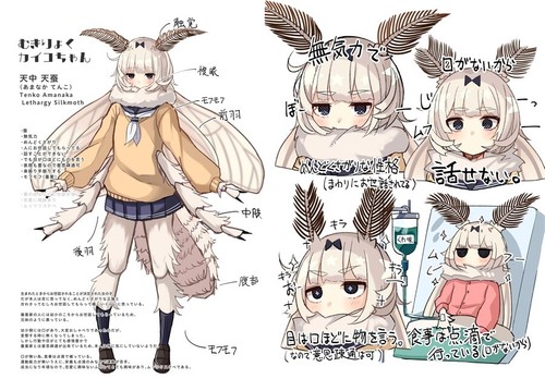 Kaikono Syoujoto Original Art Book Plan Sleeplan B5/20P Doujinshi C99 | eBay