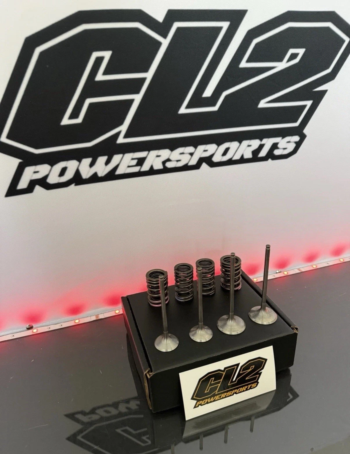 Honda CRF450X CRF 450X Valves With Springs - Intake & Exhaust