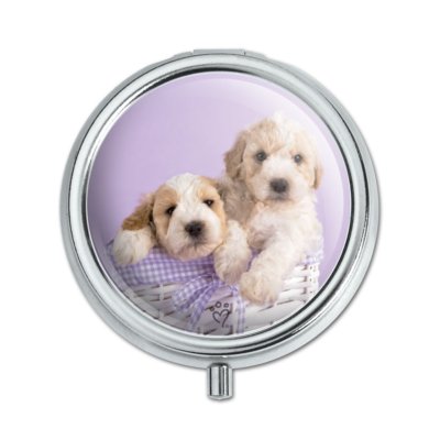 Spoodle Cockapoo Puppies Dogs Wicker Basket Pill Case Trinket Gift Box ...