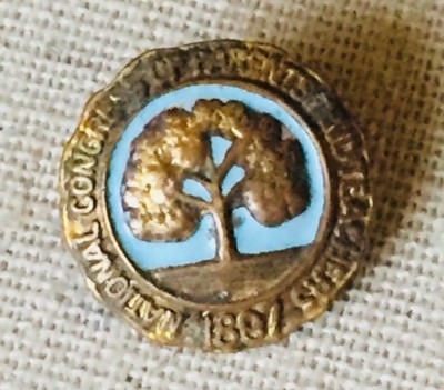Vintage Enamel NATIONAL CONGRESS OF PARENTS TEACHERS Lapel Pin Tie Tack ...