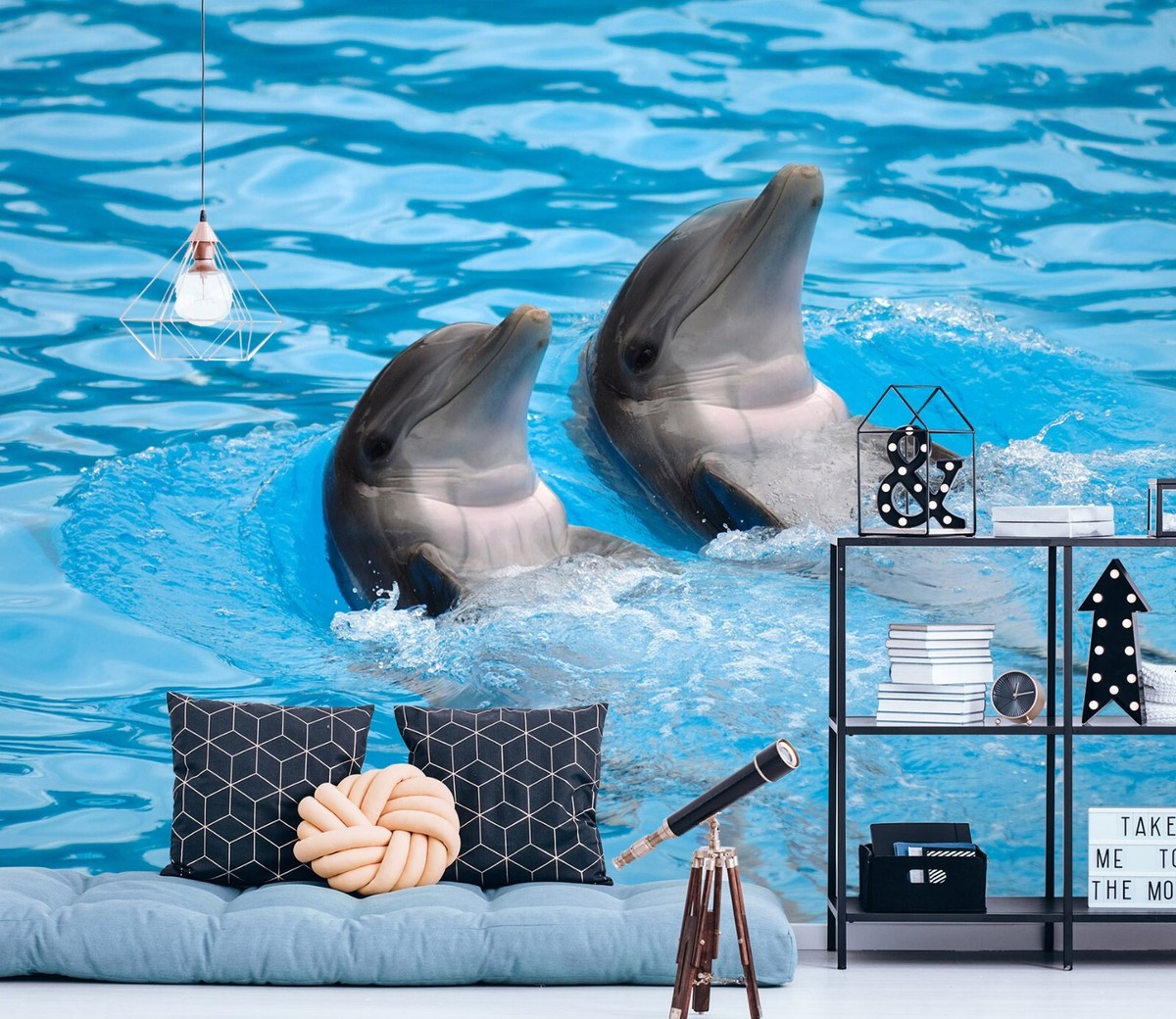 Cute Dolphins Background Wallpapers HD Dolphin Wallpapers | Peakpx